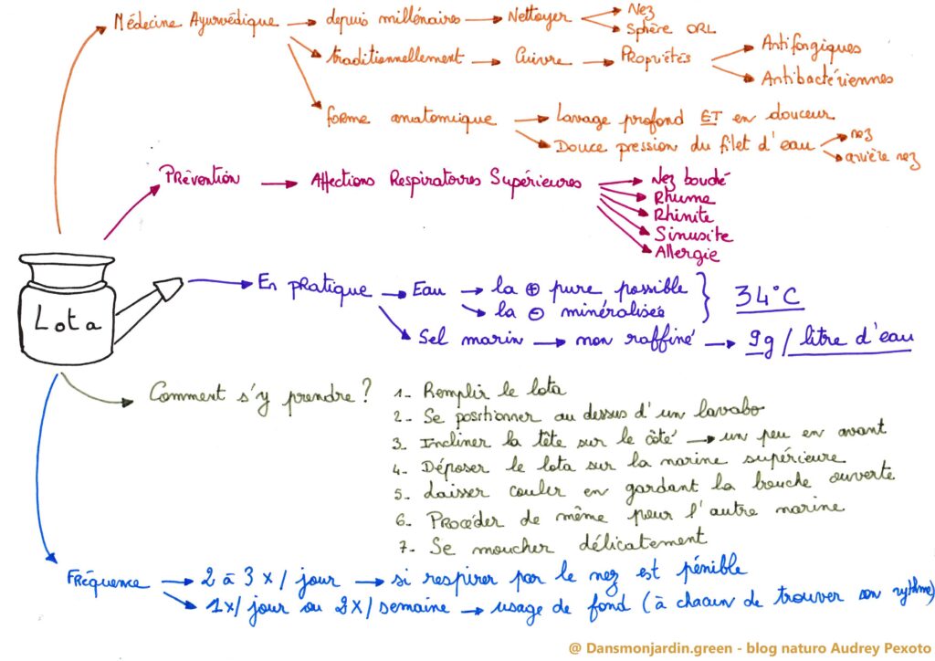 Le lota - Dansmonjardin - Naturopathie